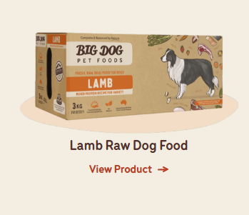 BARF Lamb | The Pet Pad | Dog Daycare, Hydrobath and Grooming Brisbane